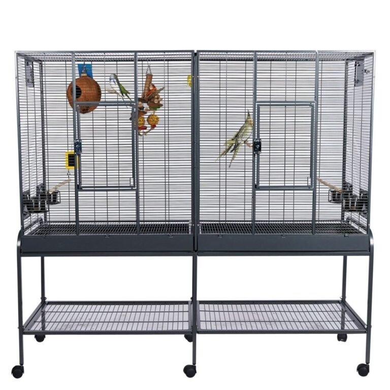 Premium Parrot Cages for Sale | Durable, Safe, Customizable