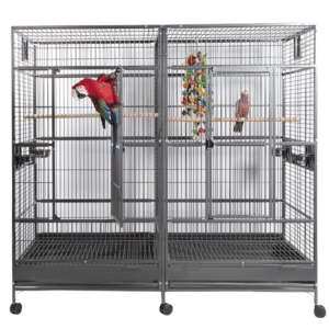 RC Nova II - Exotic Parrot Shop | Live Parrots & Supplies